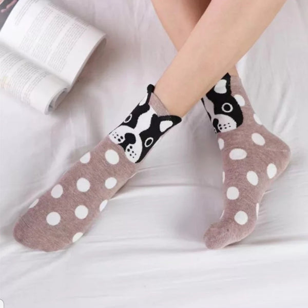Boston Terrier Dog Polka Dot Ladies Socks